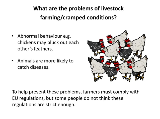 Mrs Abrey Lesson 27 efficient food production | PPT