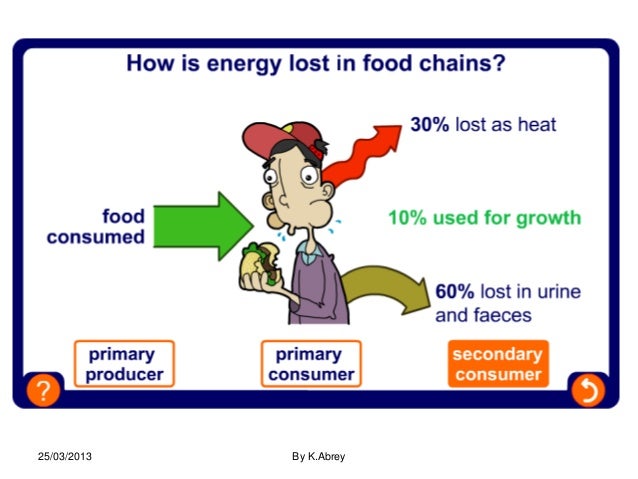 Mrs Abrey Lesson 27 efficient food production