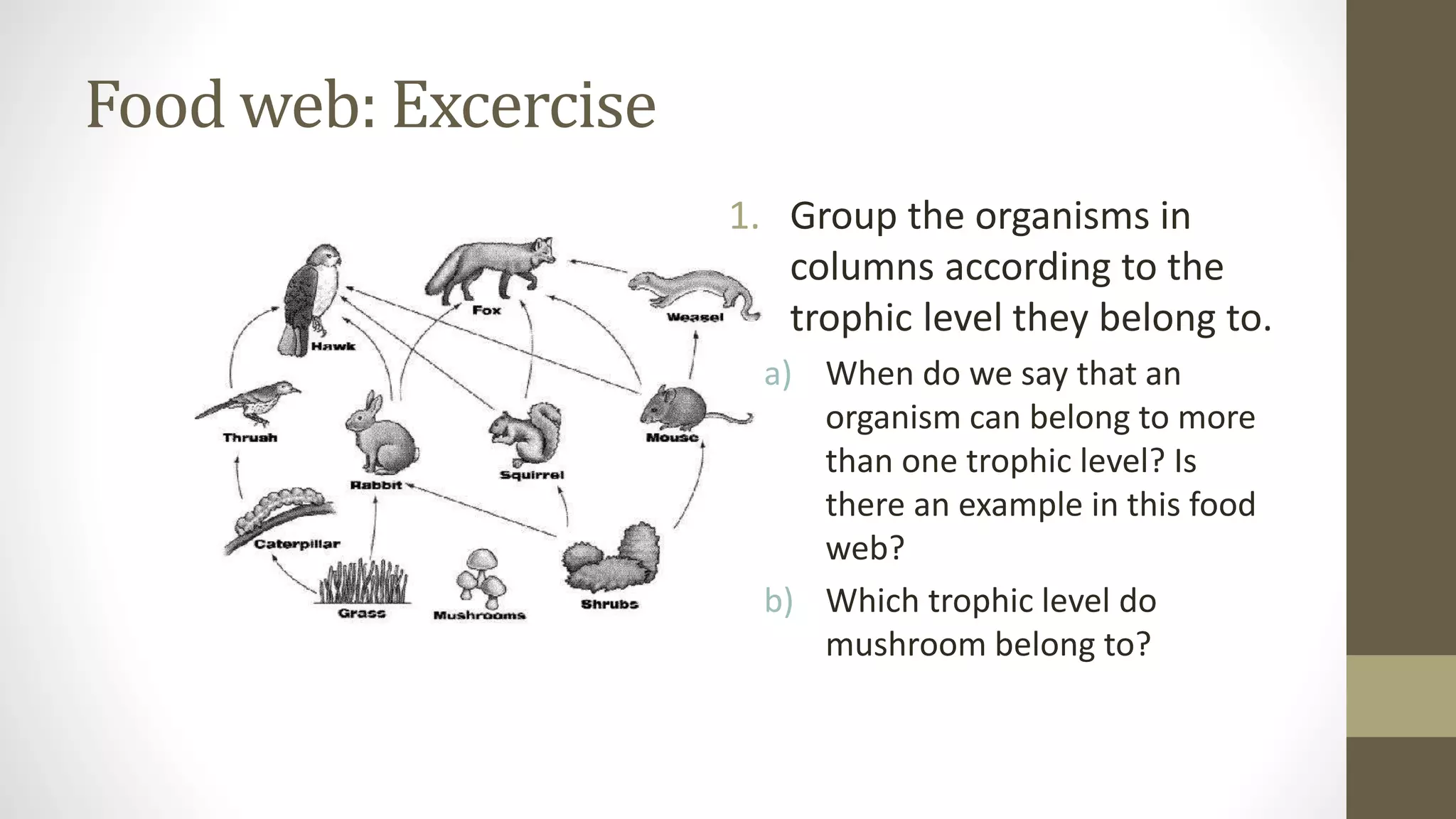 Lesson 28 trophic relationships | PPTX