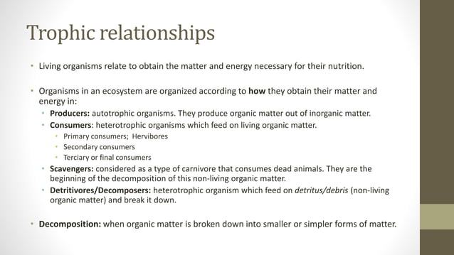 Lesson 28 trophic relationships | PPTX | Biological Sciences | Science