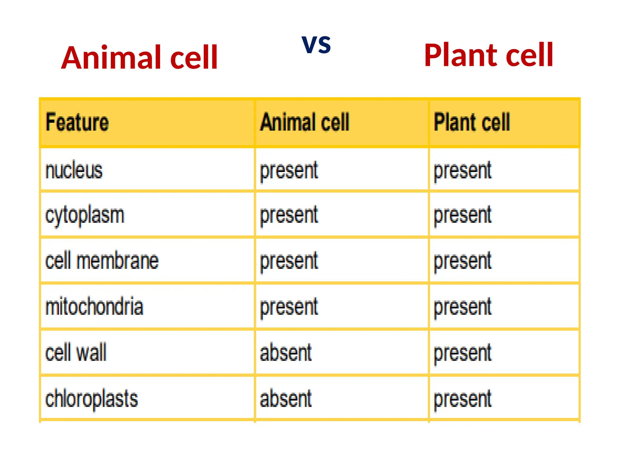 Lesson 2a_ Plants vs animals' cells.ppt is about the difference between ...