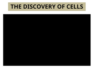 Lesson 2a_ Plants vs animals' cells.ppt is about the difference between ...