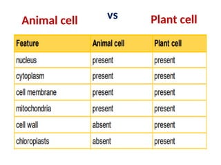 Lesson 2a_ Plants vs animals' cells.ppt is about the difference between ...