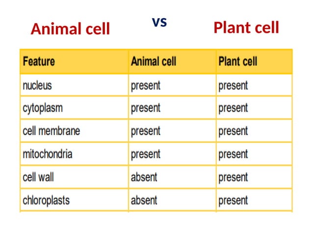Lesson 2a_ Plants vs animals' cells.ppt is about the difference between ...