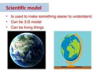 Lesson 2a_ Plants vs animals' cells.ppt is about the difference between ...