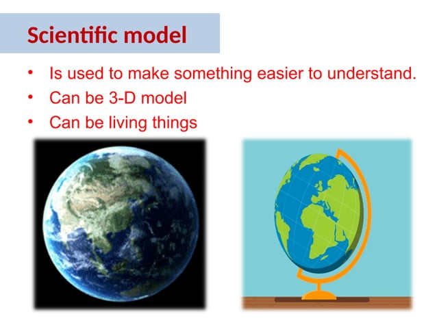 Lesson 2a_ Plants vs animals' cells.ppt is about the difference between ...