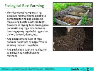 Climate Change: Adaptation and Mitigation - Palayamanan | PDF