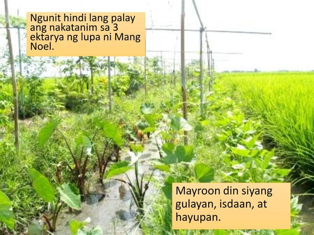 Climate Change: Adaptation and Mitigation - Palayamanan | PDF