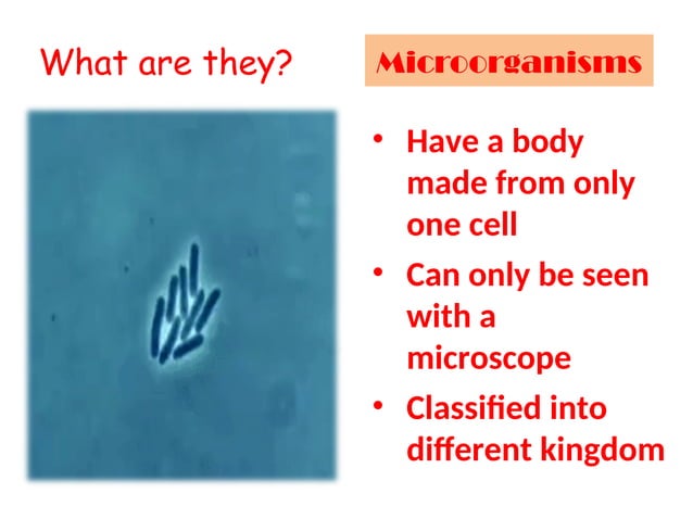 Lesson 2b_Microorganisms part 1.ppt is about how microorganisms thrive ...