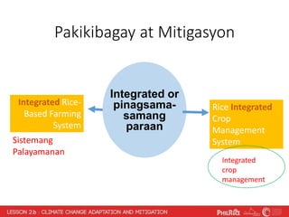 Climate Change: Adaptation and Mitigation - Integrated Crop Management ...