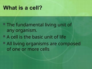 LESSON 2 CELL STRUCTURE TAXONOMyyyyyyyyyyyyyyyyY.pptx