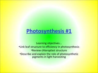 Lesson 2 chloroplast structure and leaf adaptations | PPT