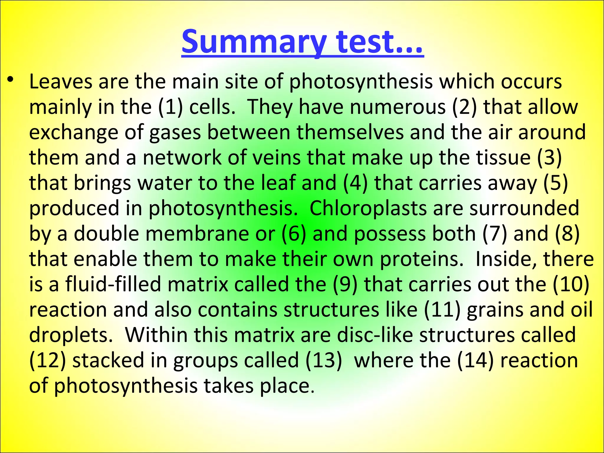 Lesson 2 chloroplast structure and leaf adaptations | PPT