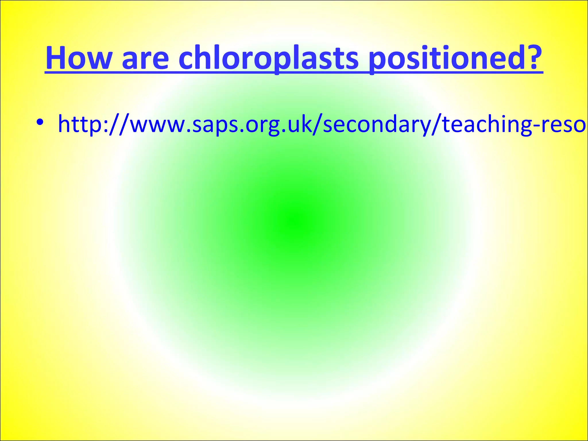 Lesson 2 chloroplast structure and leaf adaptations | PPT