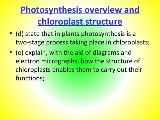 Lesson 2 chloroplast structure and leaf adaptations | PPT