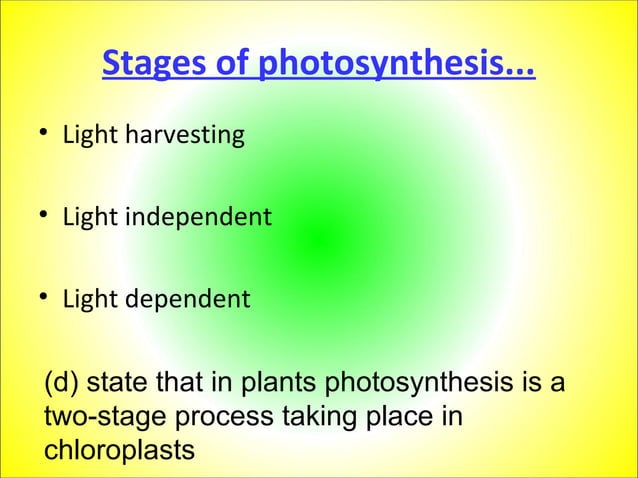 Lesson 2 chloroplast structure and leaf adaptations | PPT