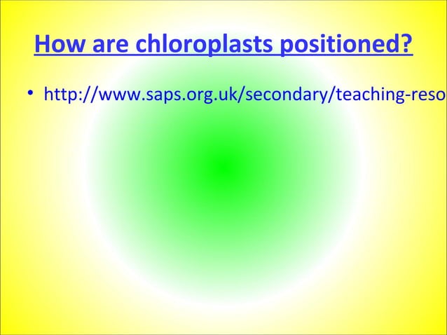 Lesson 2 chloroplast structure and leaf adaptations | PPT