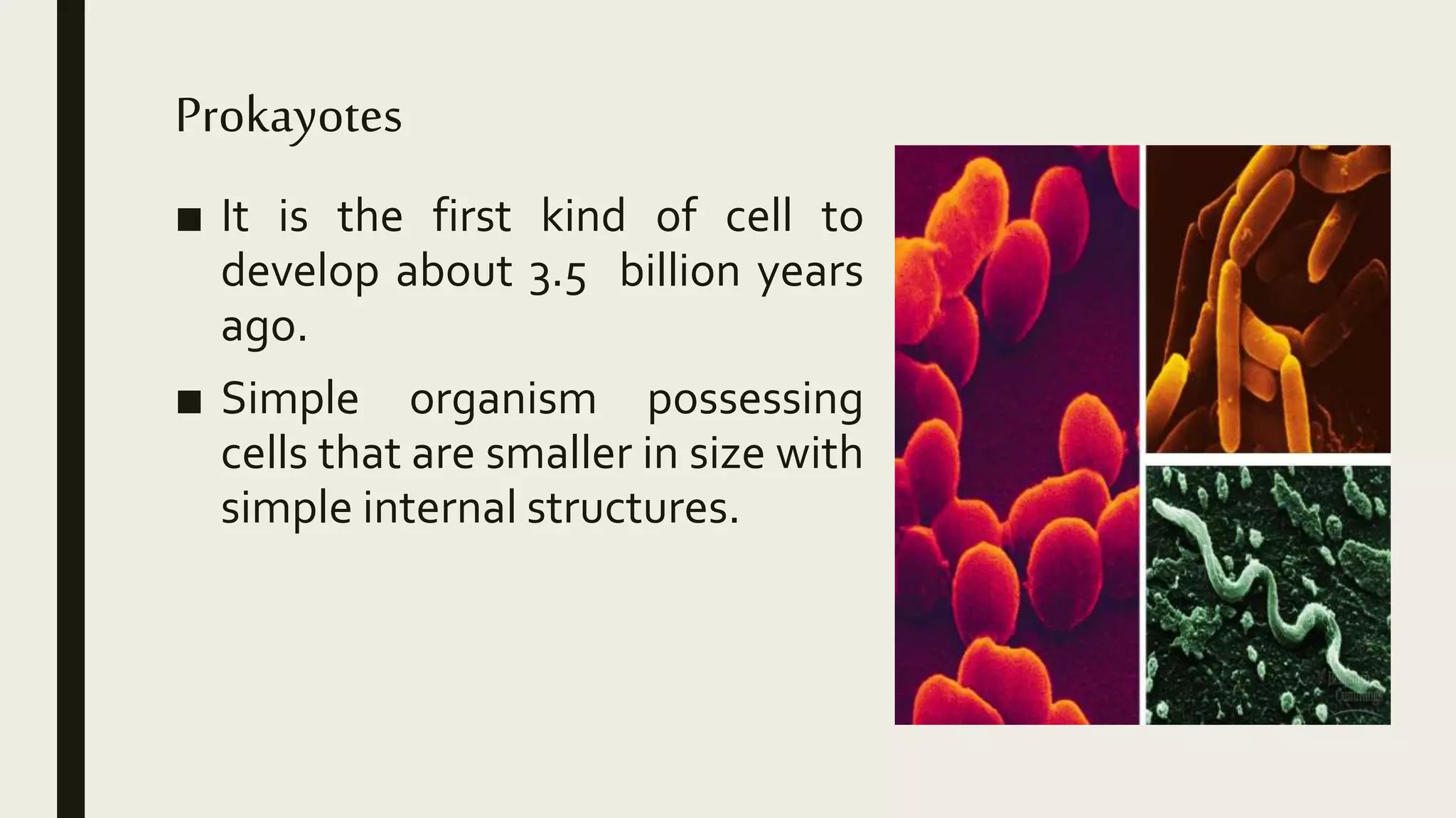General Biology 1 - Lesson 2 Classification of Cell | PPTX