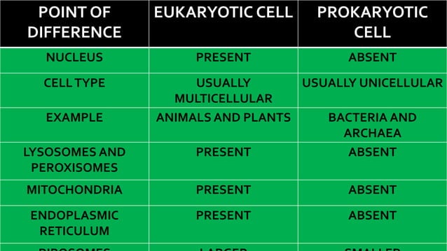 General Biology 1 - Lesson 2 Classification of Cell | PPTX