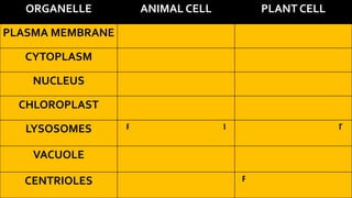 General Biology 1 - Lesson 2 Classification of Cell | PPTX