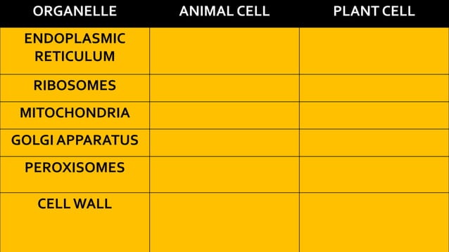 General Biology 1 - Lesson 2 Classification of Cell | PPTX
