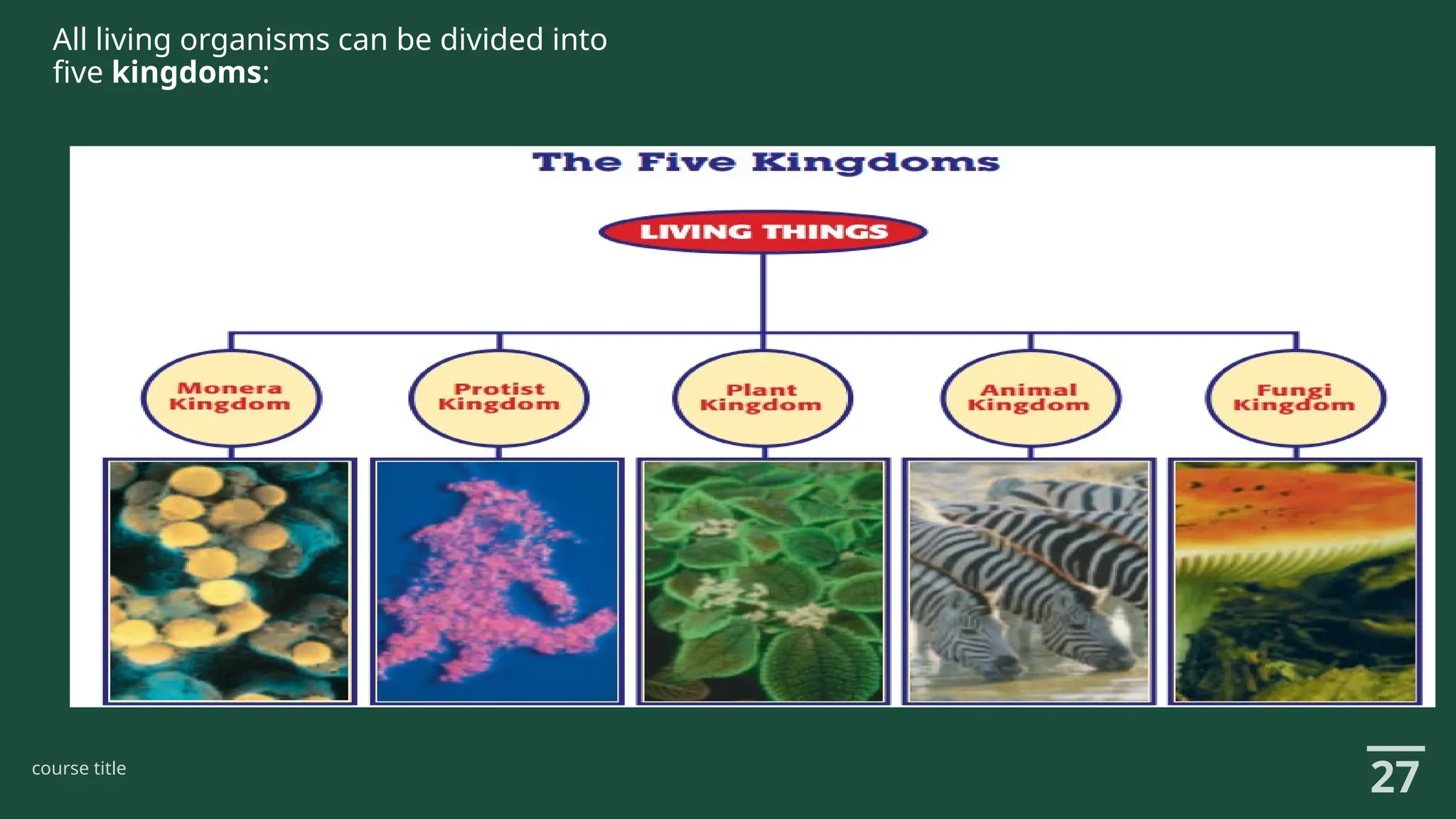 Lesson 2 Classification of living things.pptx