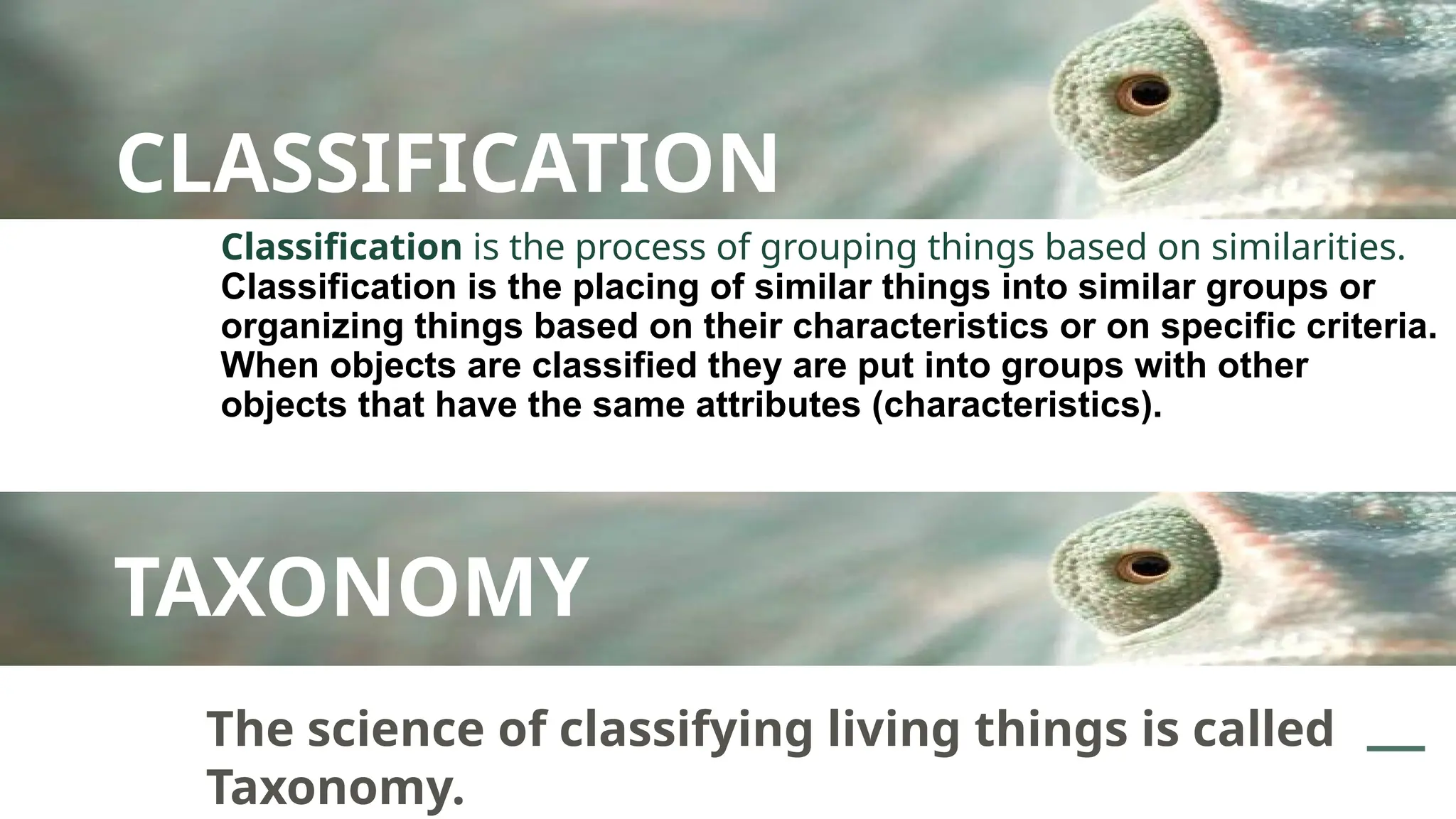 Lesson 2 Classification of living things.pptx