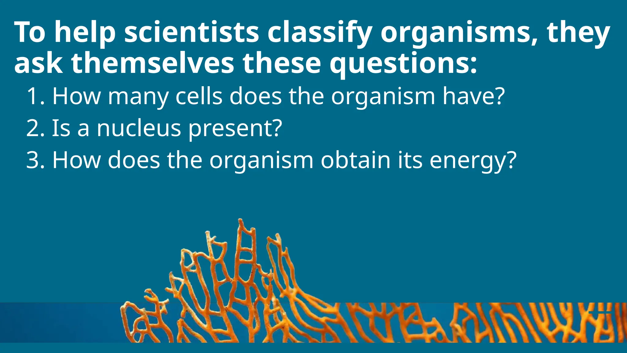 Lesson 2 Classification of living things.pptx