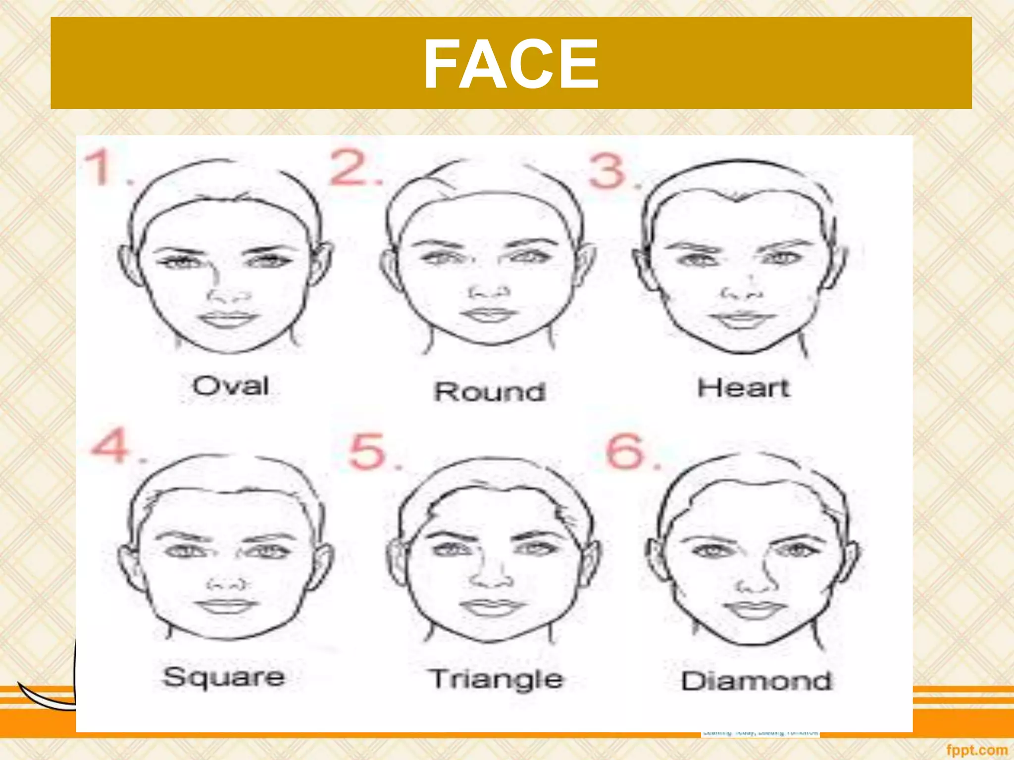 Lesson 2 describing people | PPTX