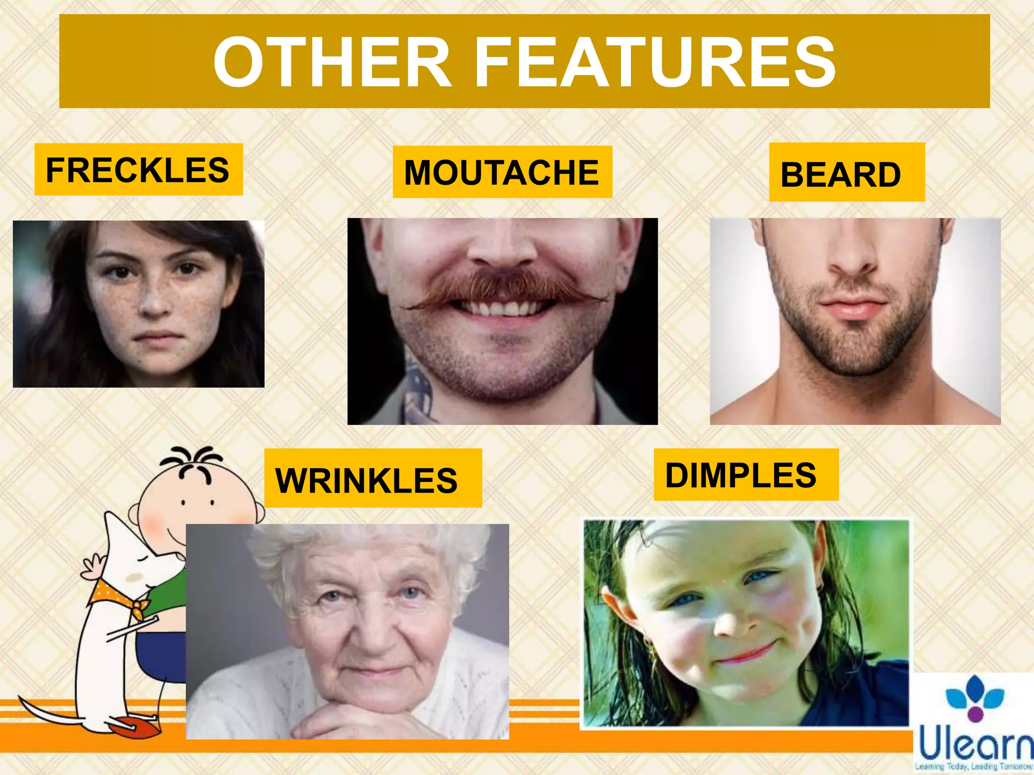 Lesson 2 describing people | PPTX