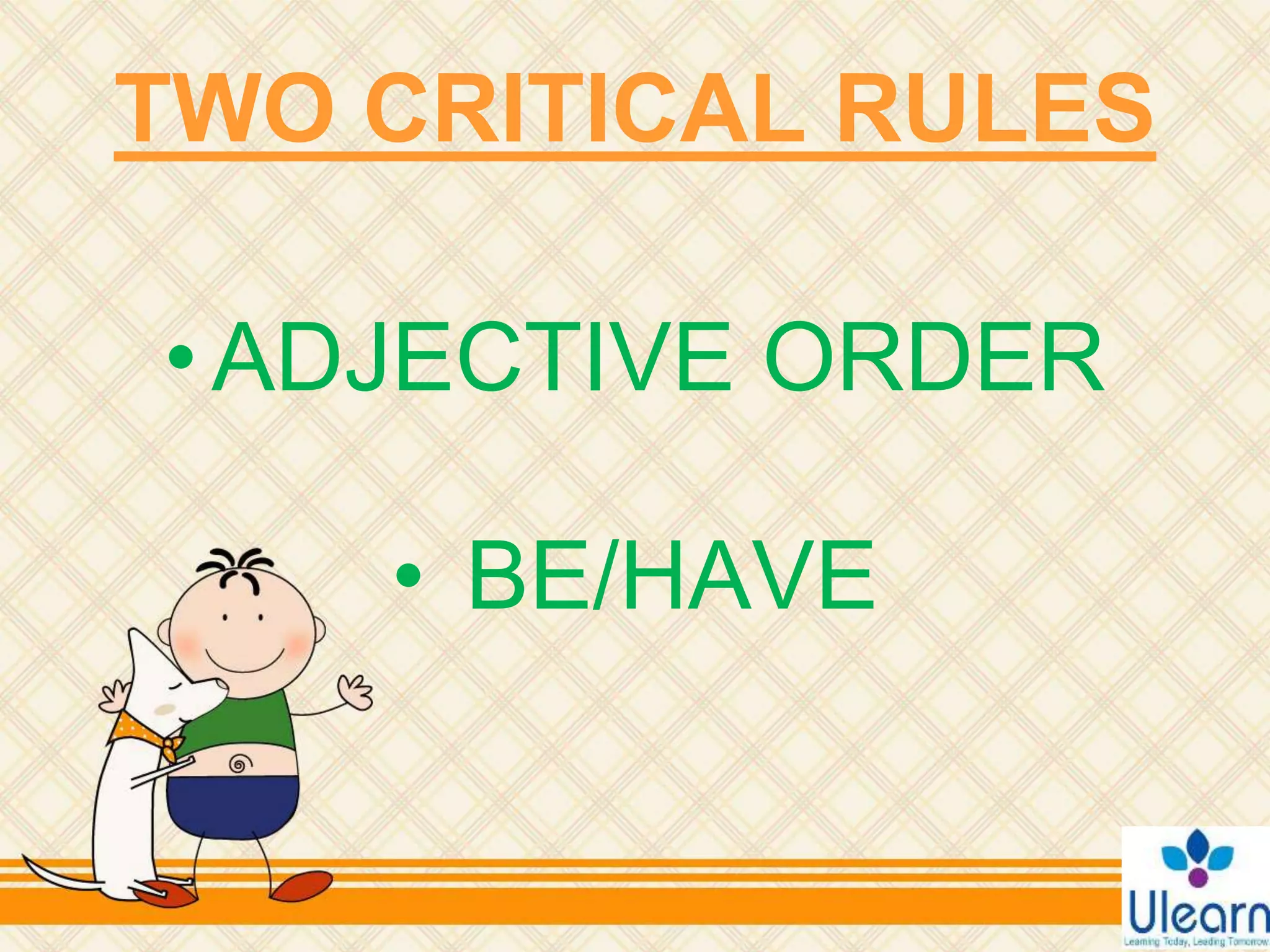 Lesson 2 describing people | PPTX