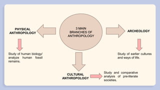 LESSON 2 DISCIPLINE AND IDEAS IN SOCIAL SCIENCE.pptx