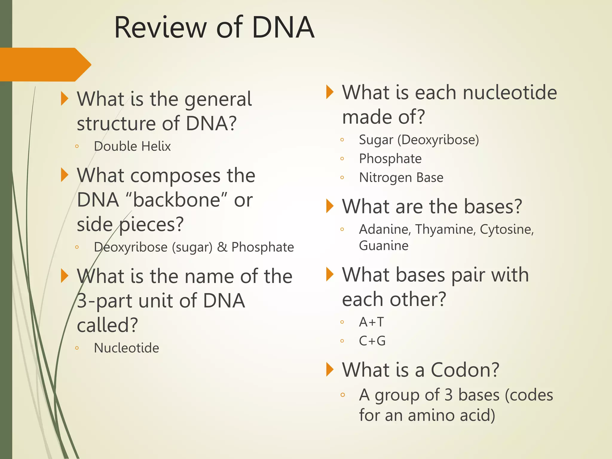 Lesson 2 DNA and RNA.pptx