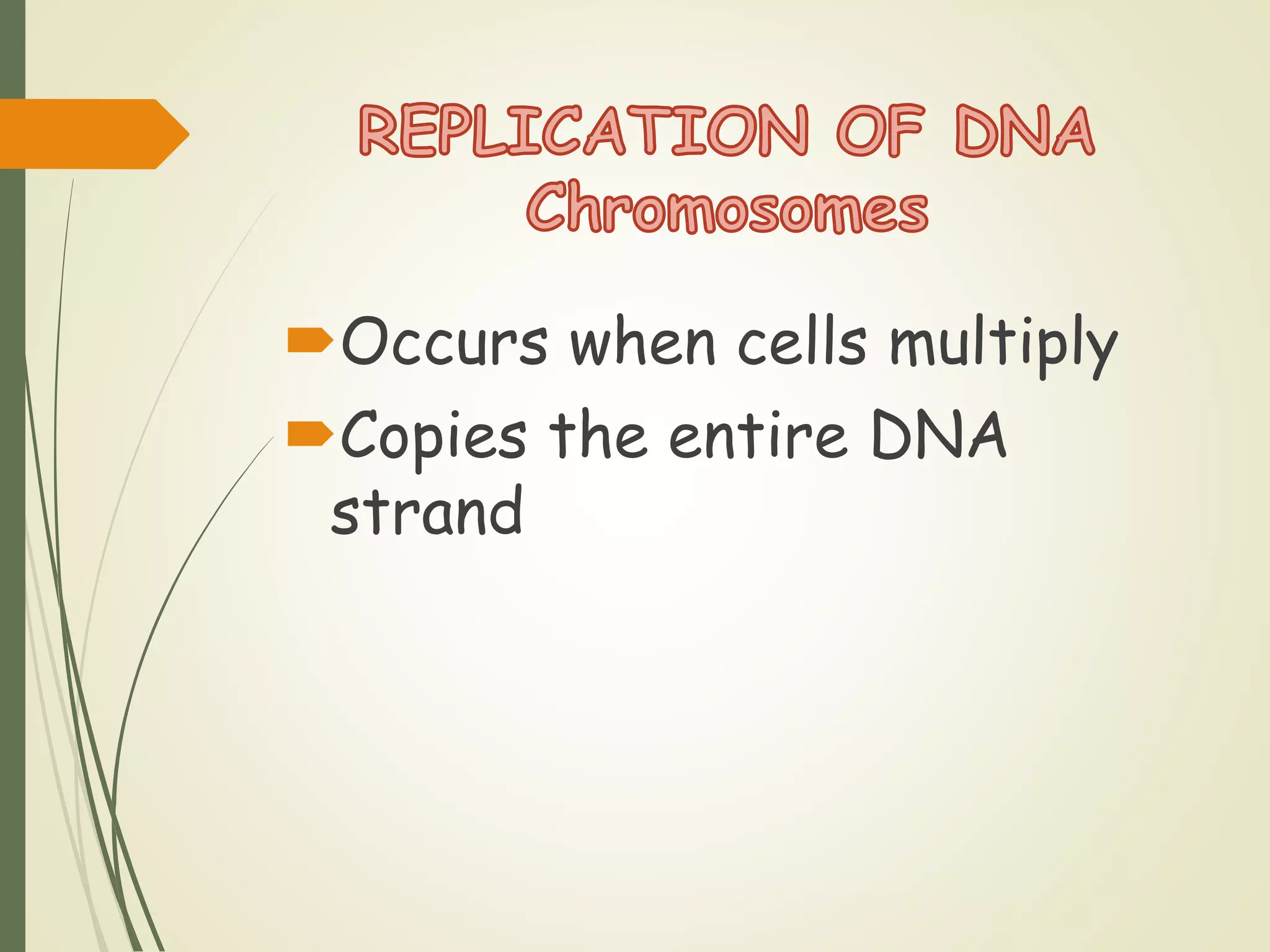 Lesson 2 DNA and RNA.pptx
