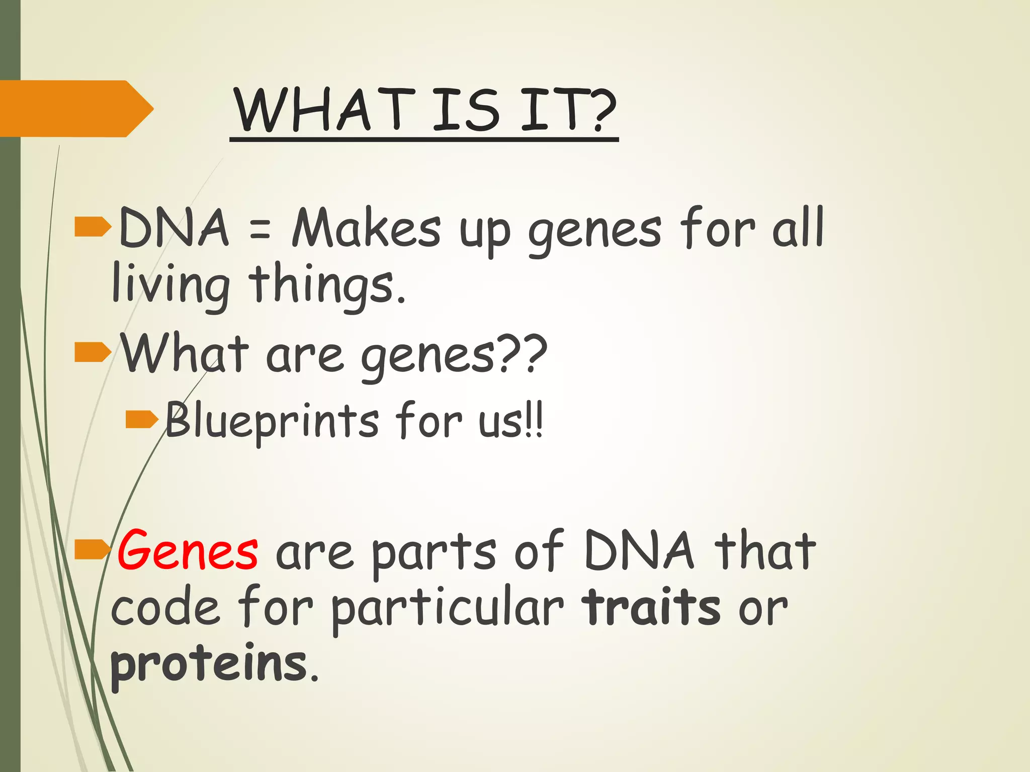 Lesson 2 DNA and RNA.pptx