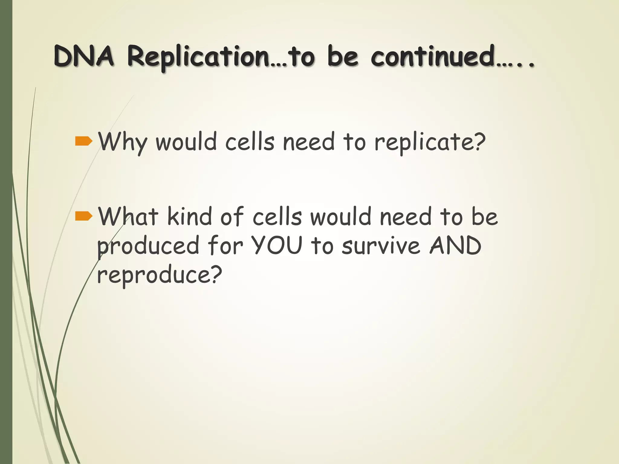 Lesson 2 DNA and RNA.pptx