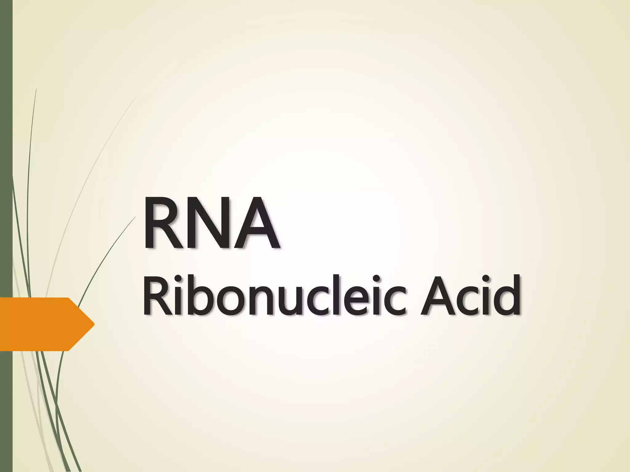 Lesson 2 DNA and RNA.pptx