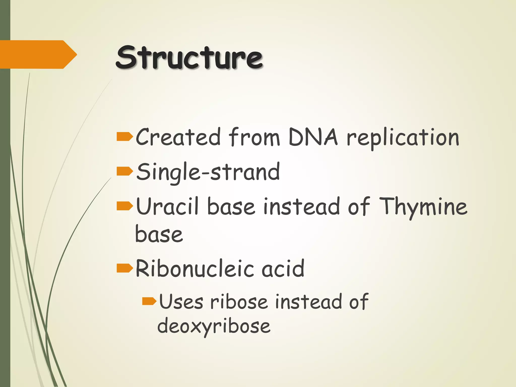 Lesson 2 DNA and RNA.pptx
