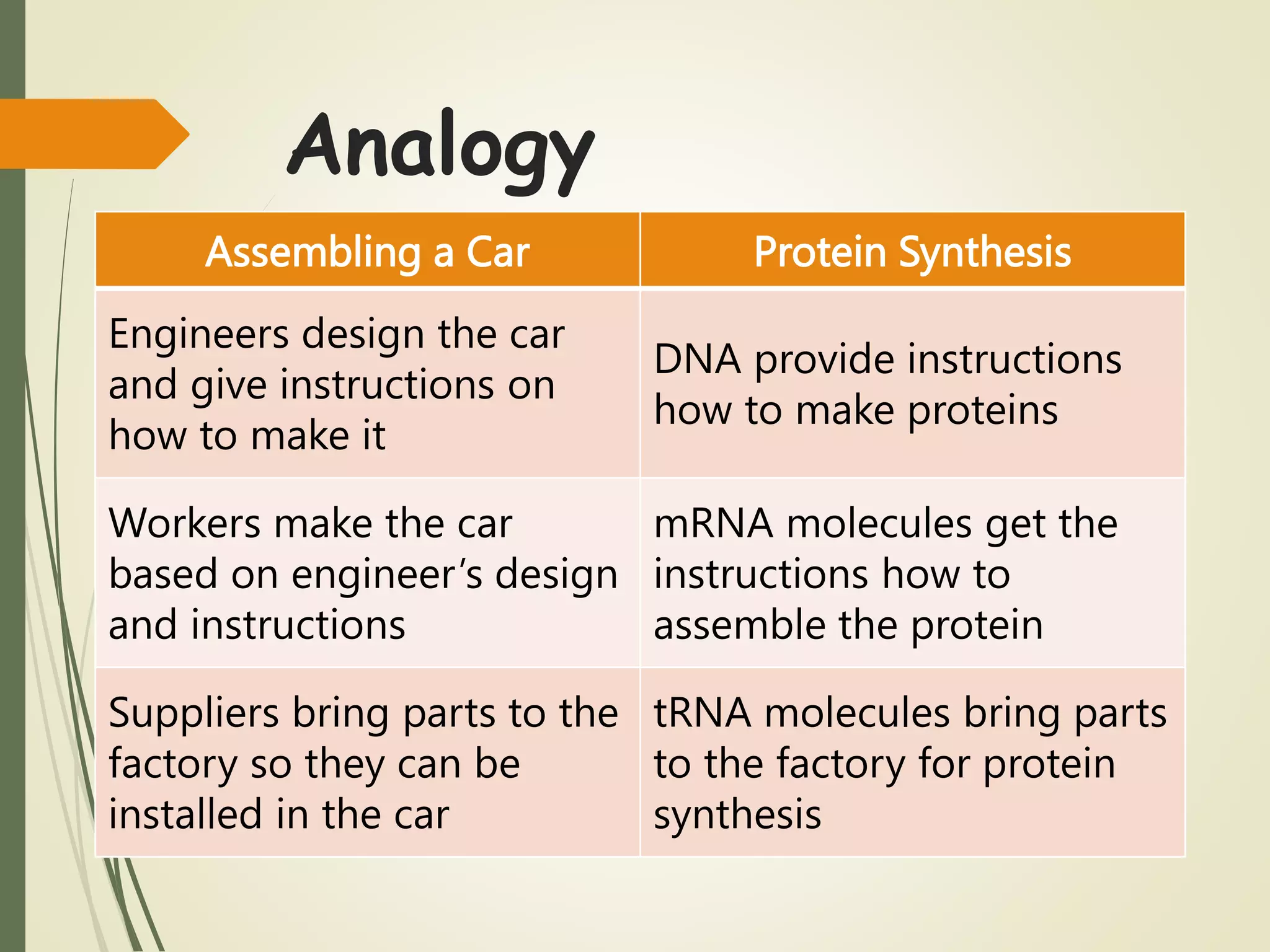 Lesson 2 DNA and RNA.pptx