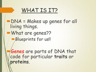 Lesson 2 DNA and RNA.pptx