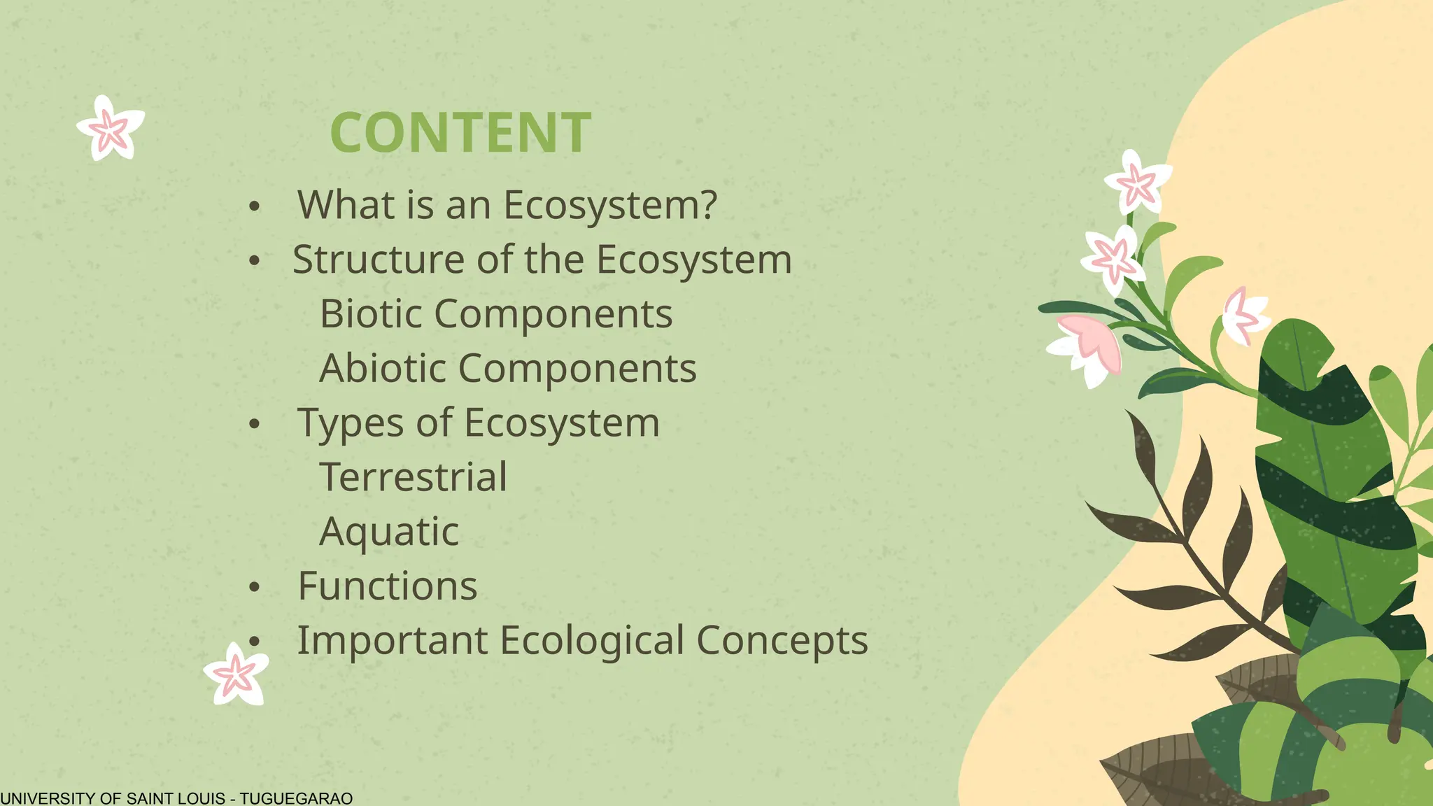LESSON 2 ECOLOGY - Environmental Science.pptx