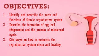 Lesson 2 Female Reproductive system.pptx
