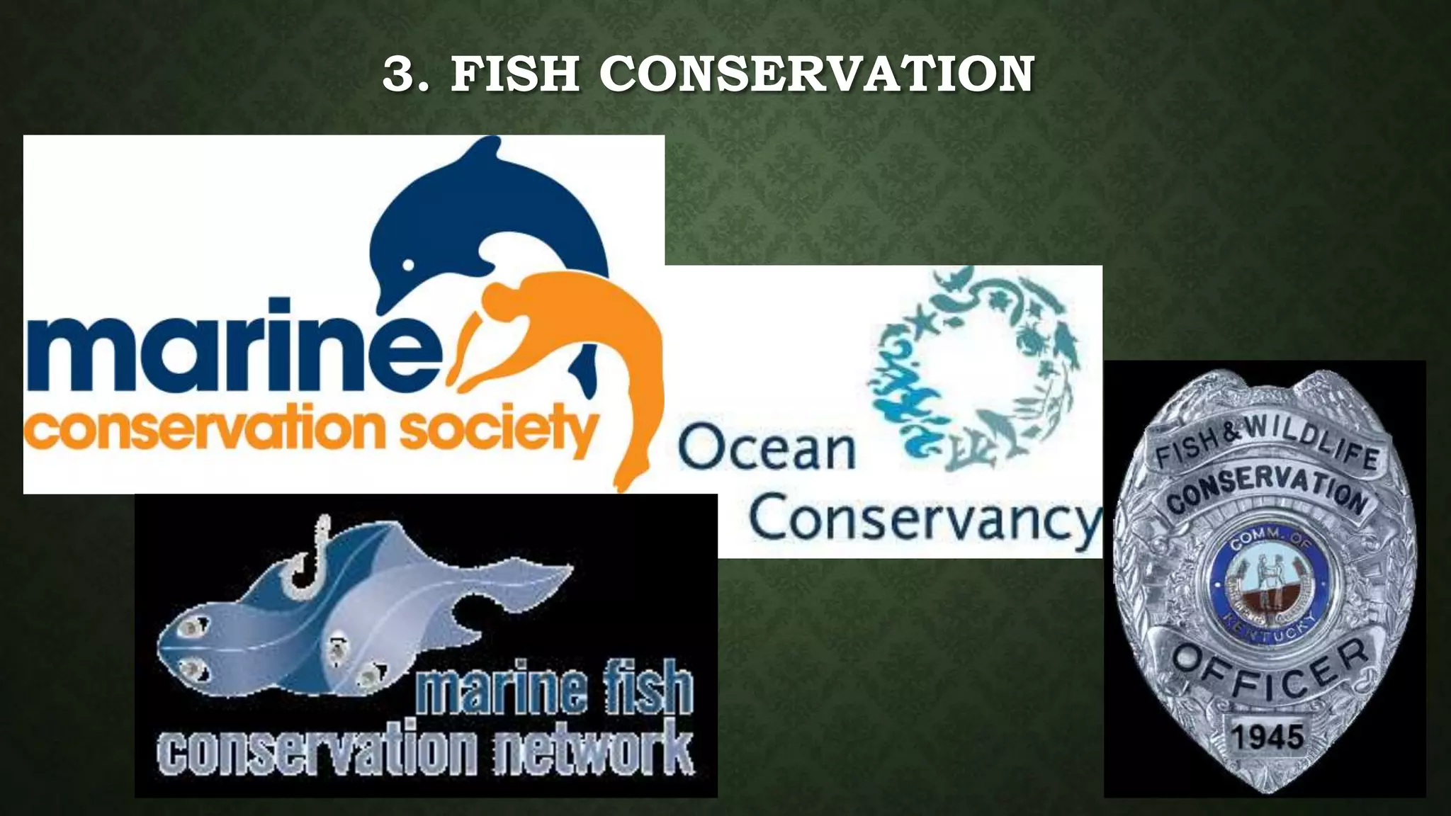 Lesson 2 fish culture | PPTX