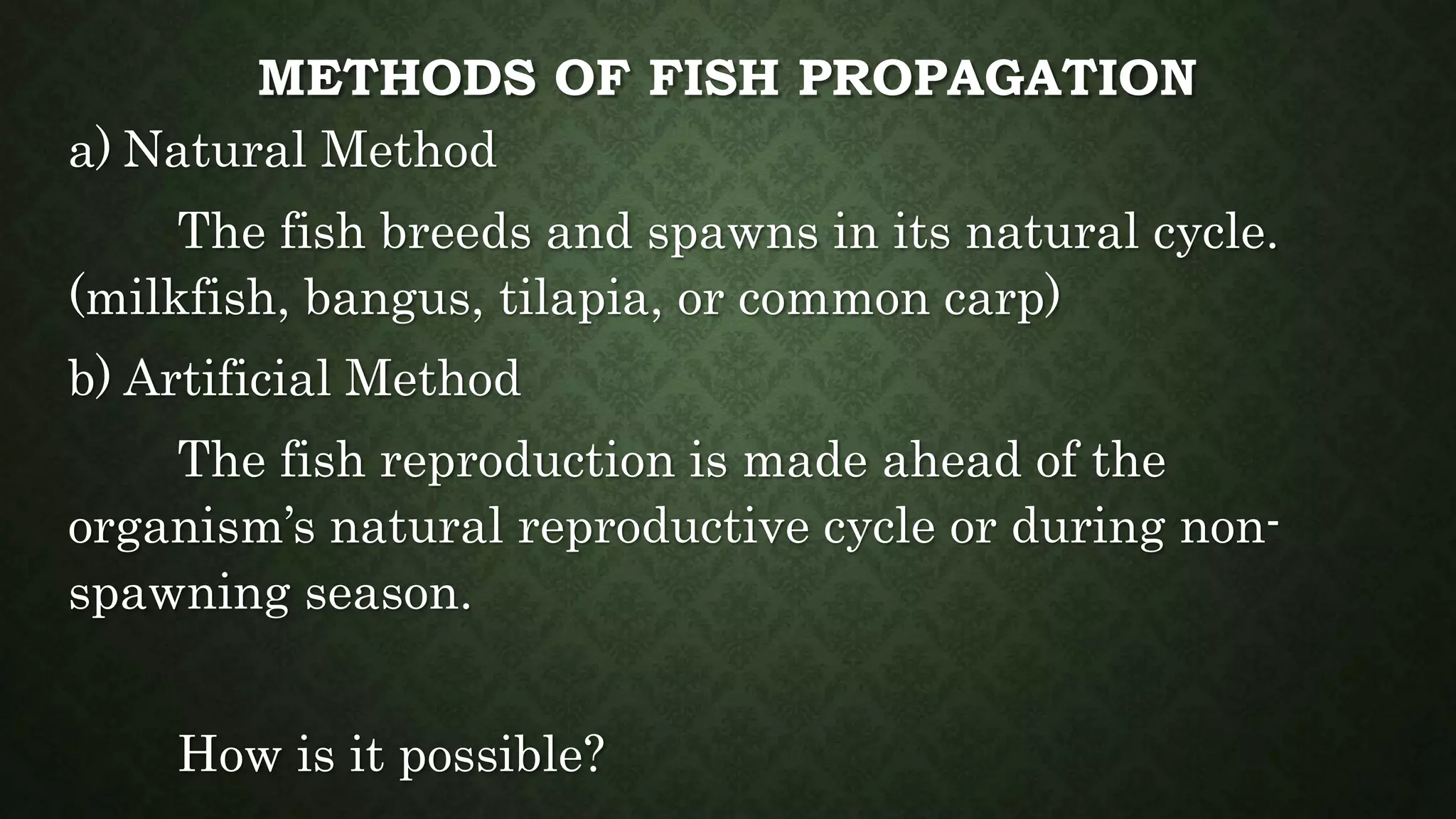 Lesson 2 fish culture | PPTX
