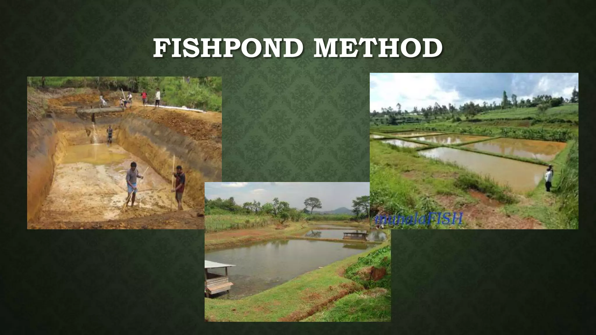 Lesson 2 fish culture | PPTX