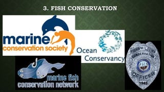 Lesson 2 fish culture | PPTX