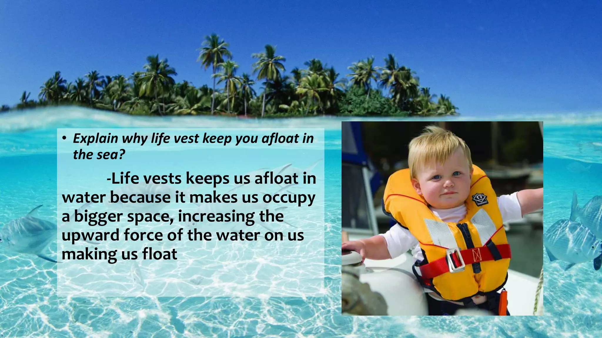 lesson 2 Float or Sink.pptx