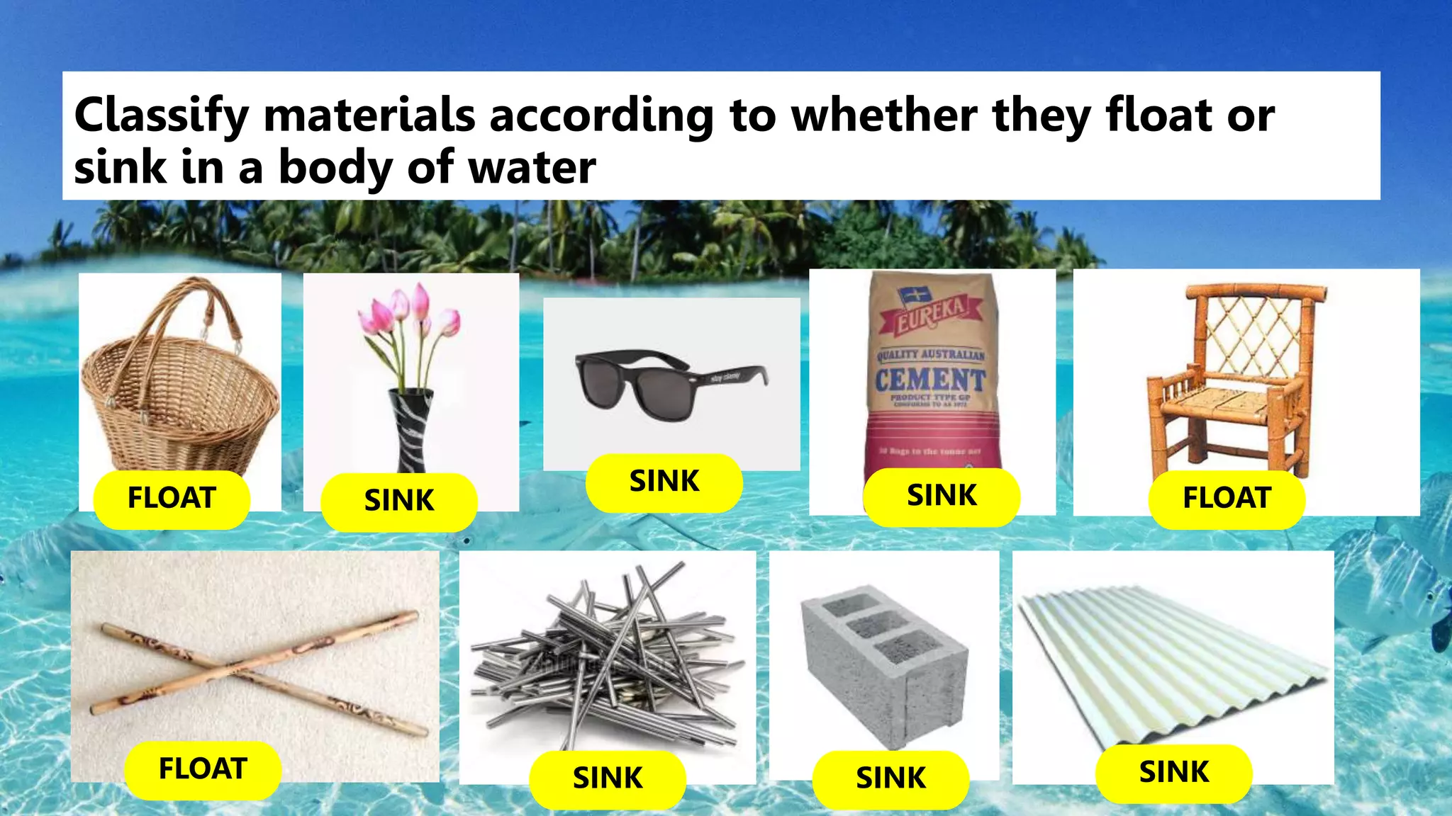 lesson 2 Float or Sink.pptx