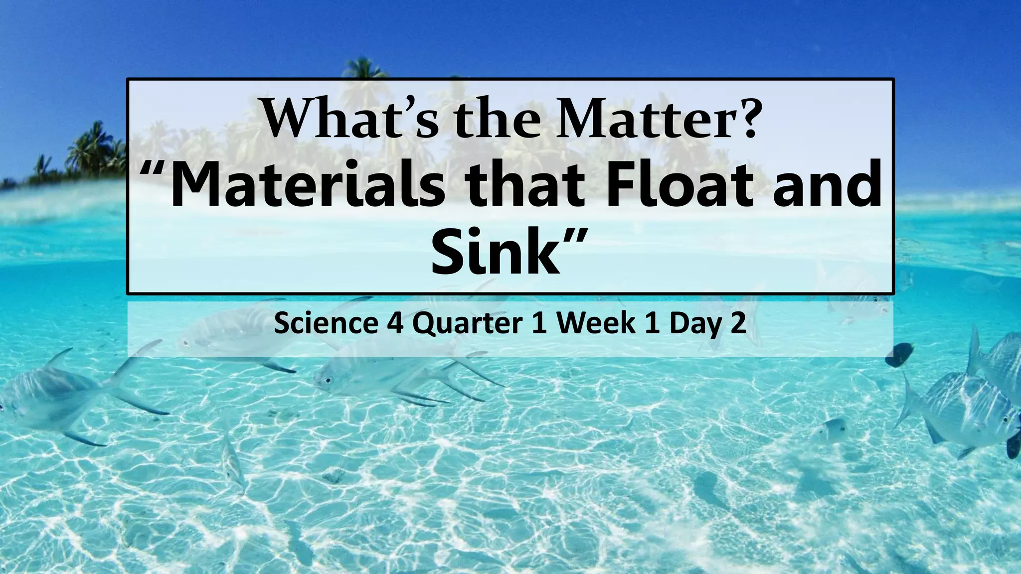 lesson 2 Float or Sink.pptx