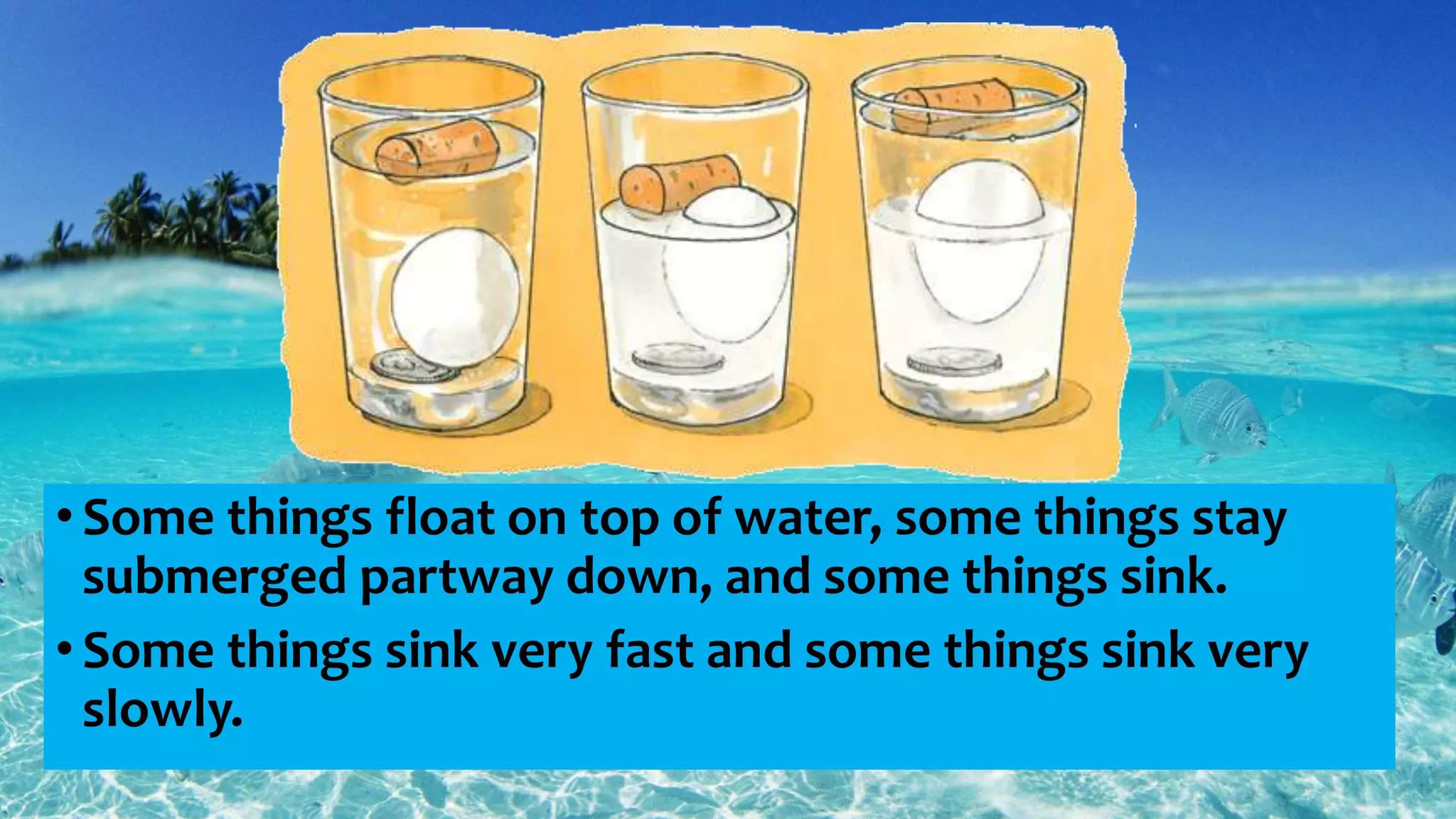 lesson 2 Float or Sink.pptx